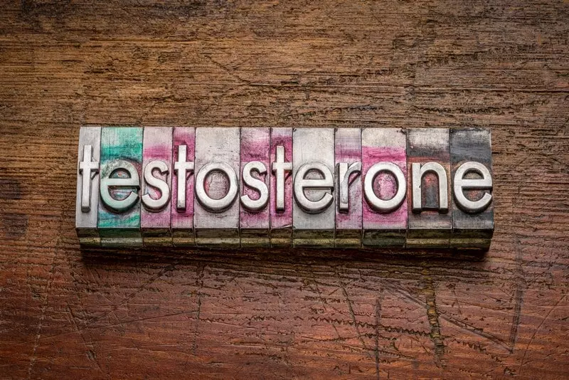 Testostérone et mélatonine : Comment ces hormones peuvent affecter le ...